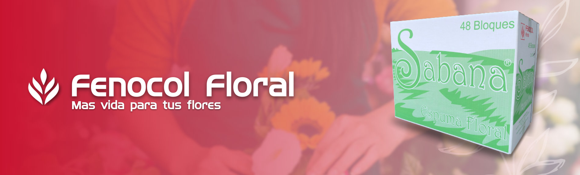 Fenocol Floral – Espumas florales, accesorios y productos poscosecha.